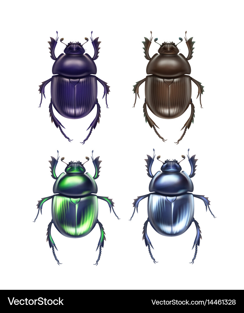 Set of scarab beetles Royalty Free Vector Image
