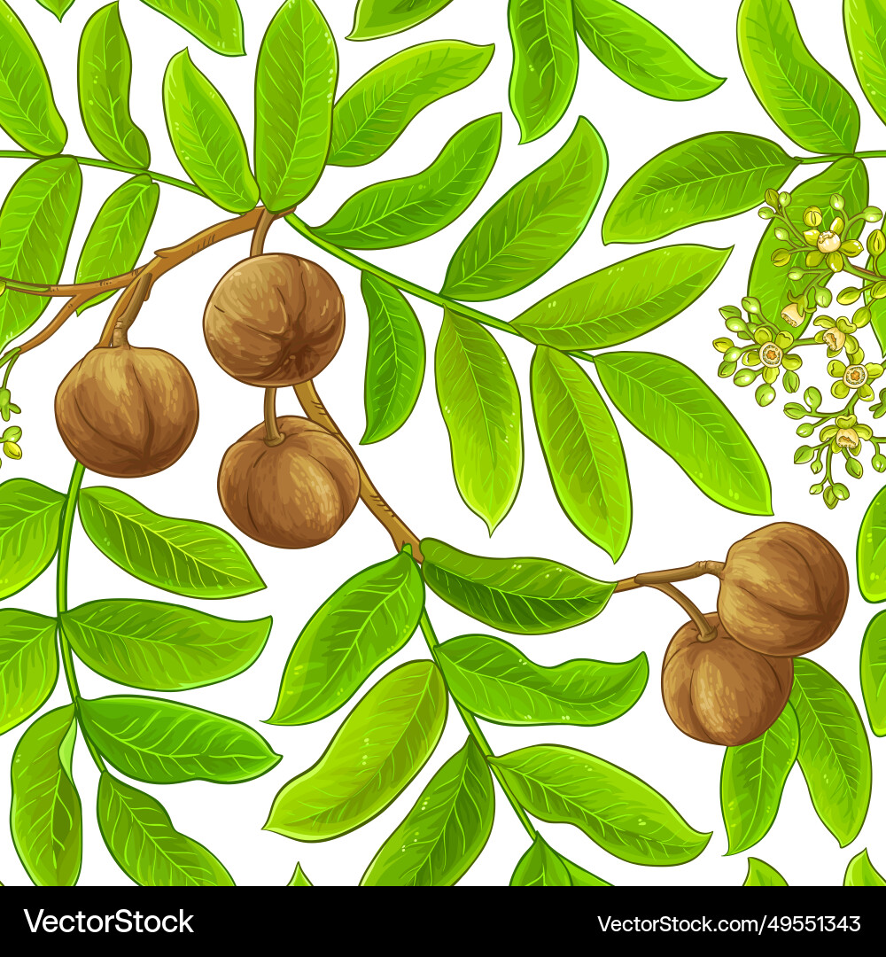 Andiroba pattern Royalty Free Vector Image - VectorStock