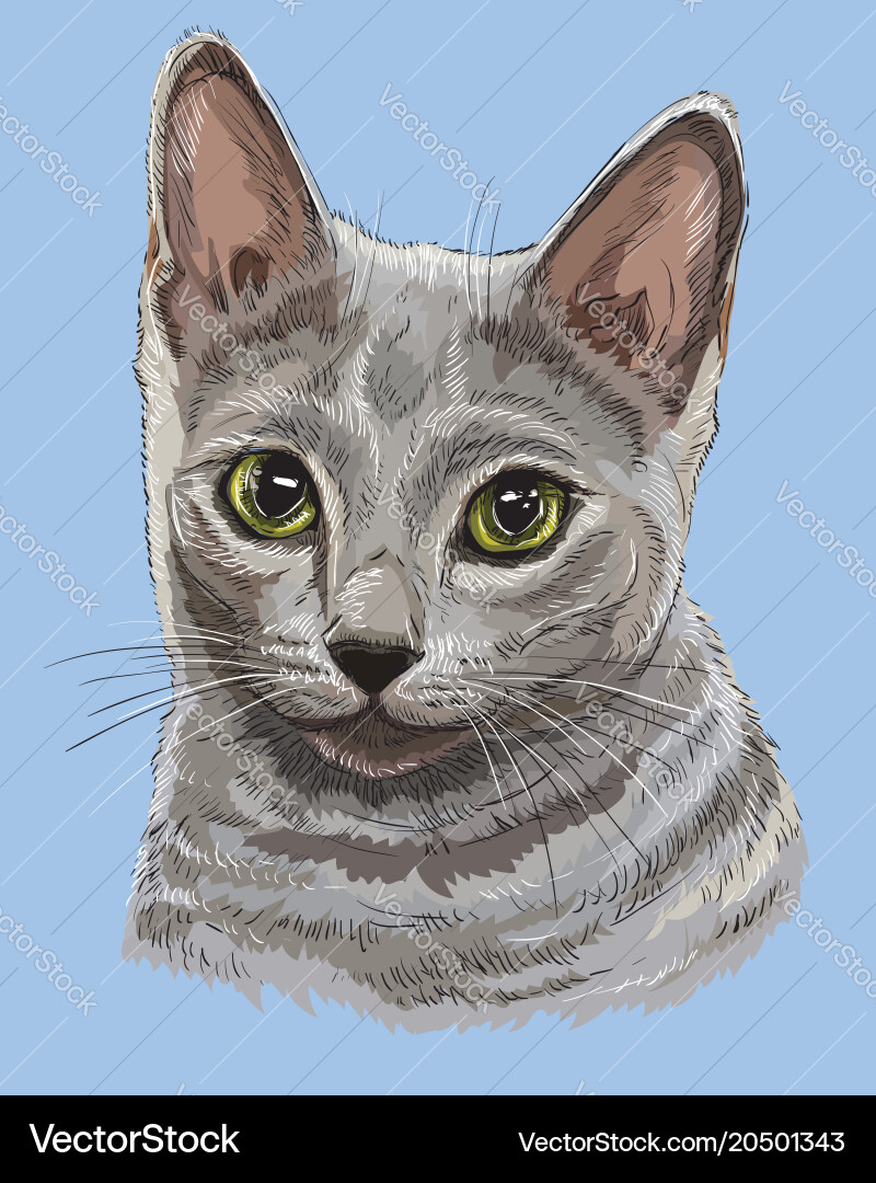 Colorful russian blue cat Royalty Free Vector Image