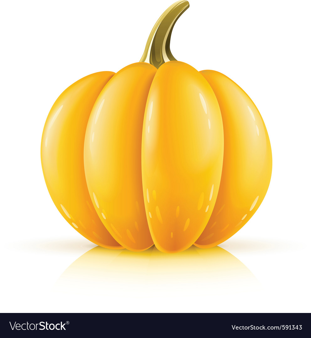 Pumpkin Royalty Free Vector Image - VectorStock