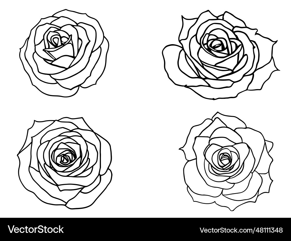 Beautiful roses outline flower set Royalty Free Vector Image