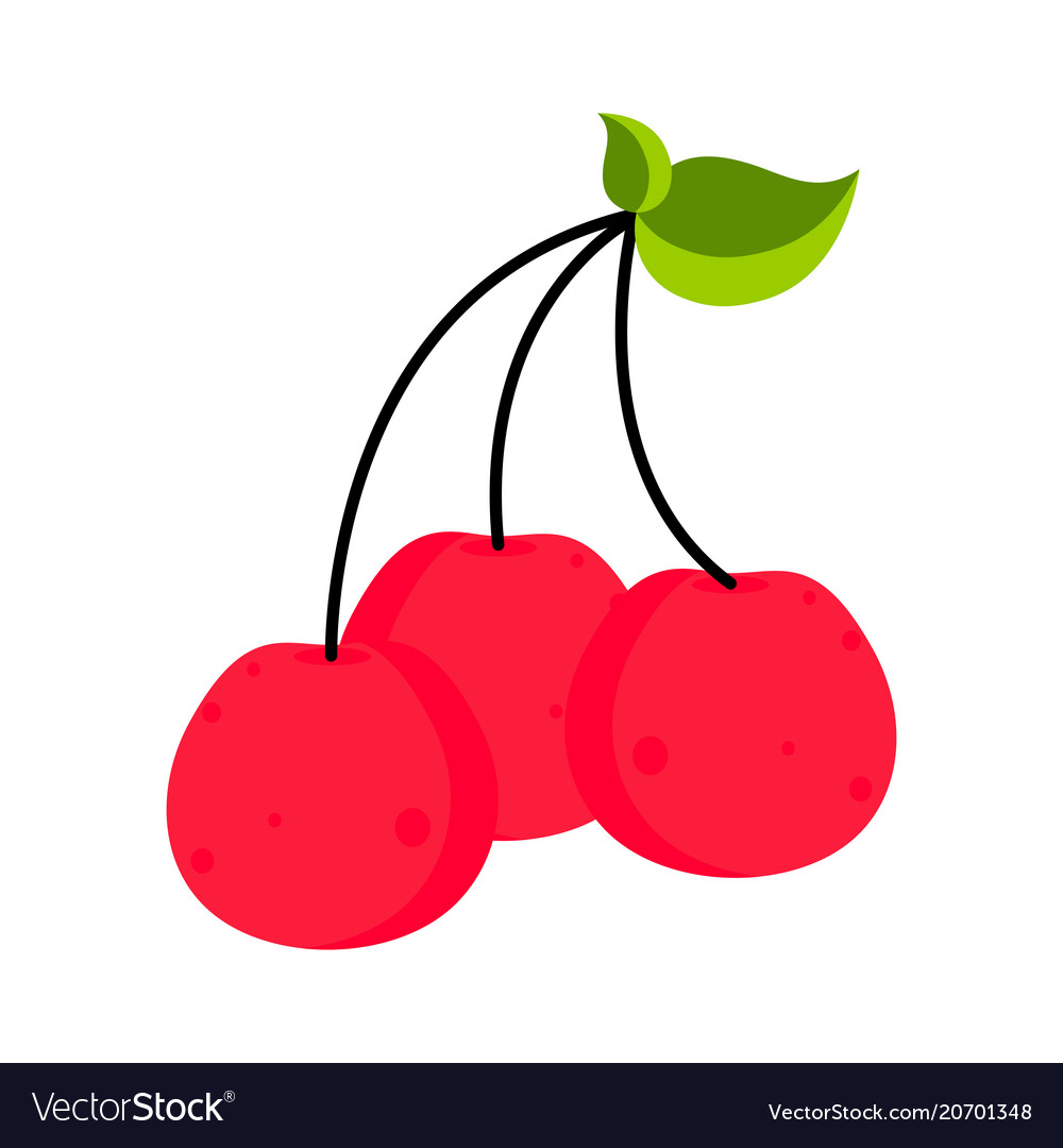 Isolated cherry fruit Royalty Free Vector Image