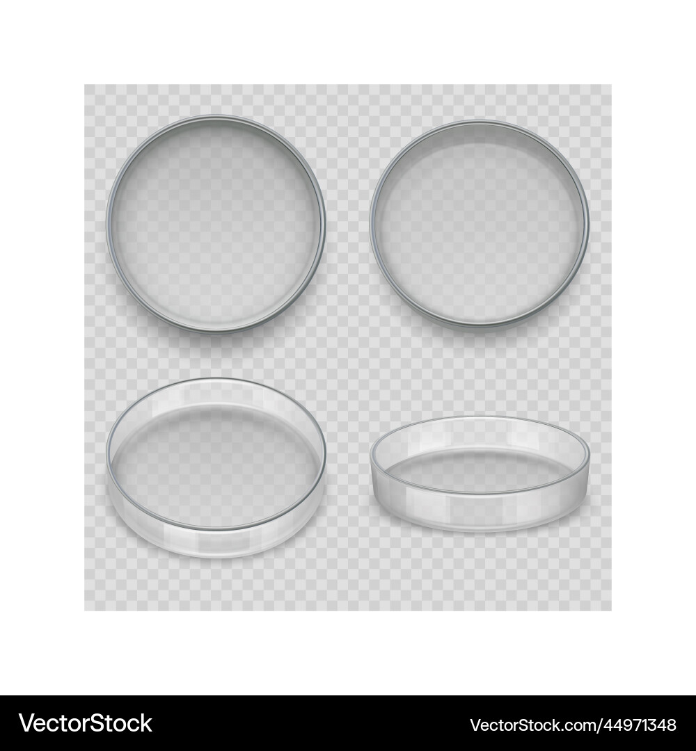 Petri Dish Drawing Laboratory at Timothy Stump blog