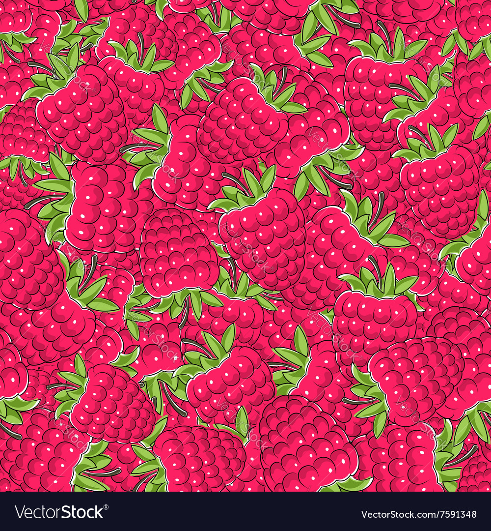 Seamless raspberries pattern Royalty Free Vector Image