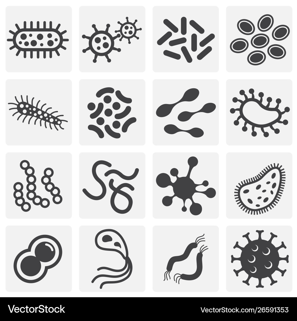 Cells icons set on background for graphic and web Vector Image