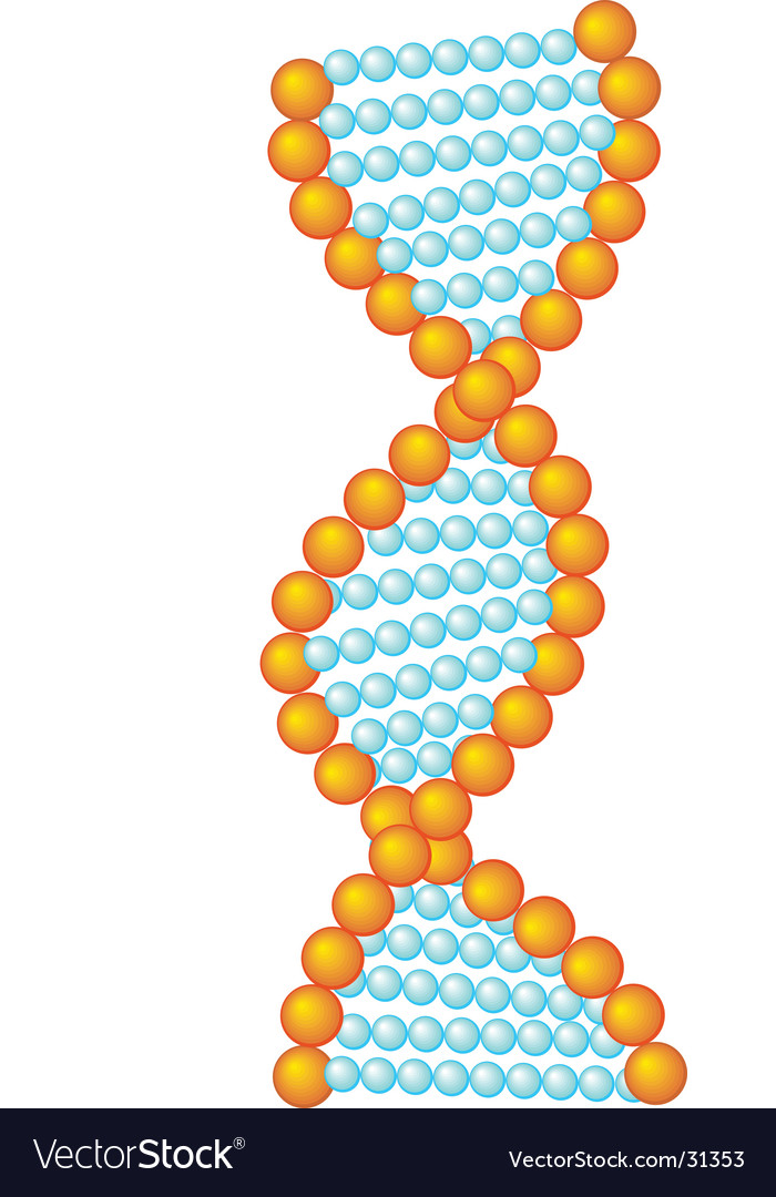 Dna Royalty Free Vector Image - VectorStock
