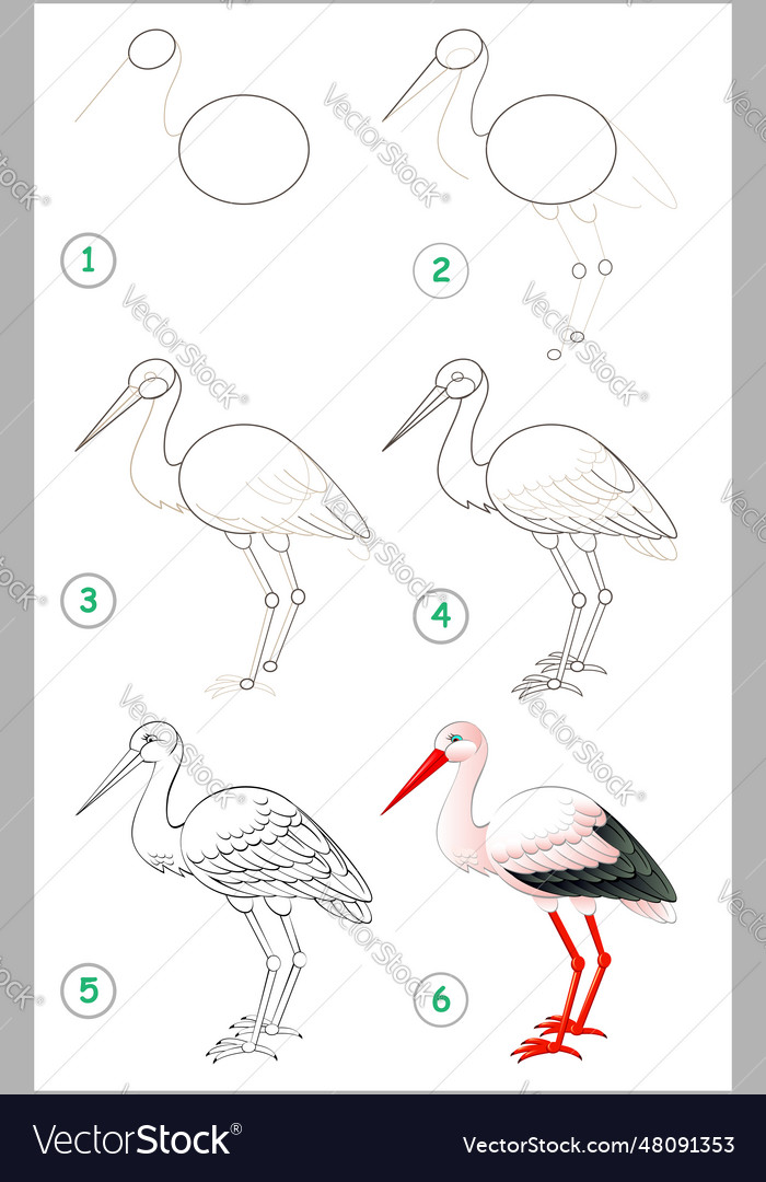 Page shows how to learn step by step to draw Vector Image