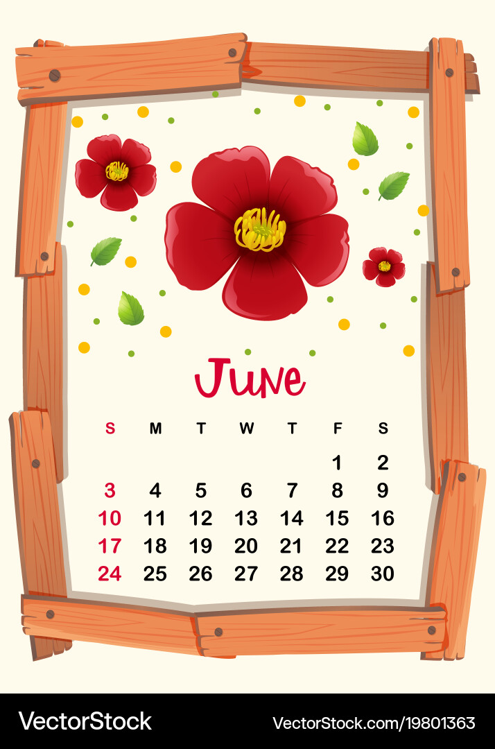 Calendar template for june with red flower Vector Image