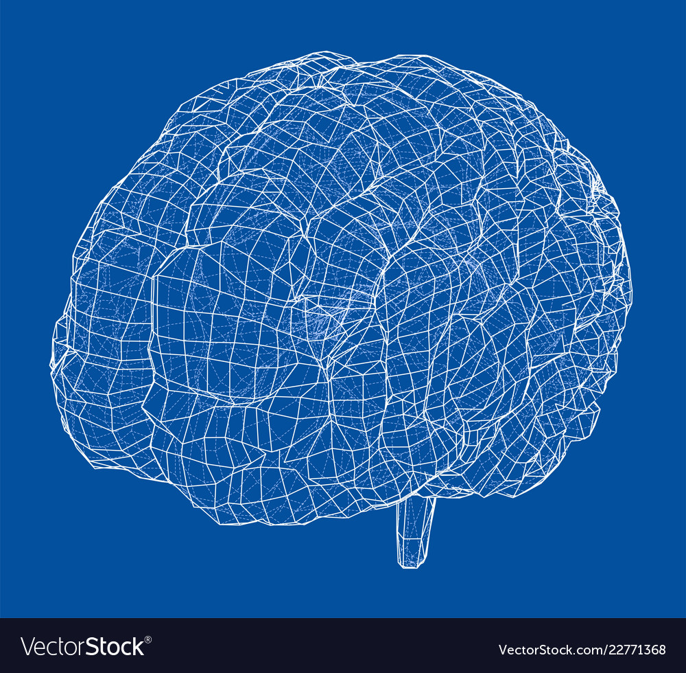 3d outline brain rendering 3d Royalty Free Vector Image