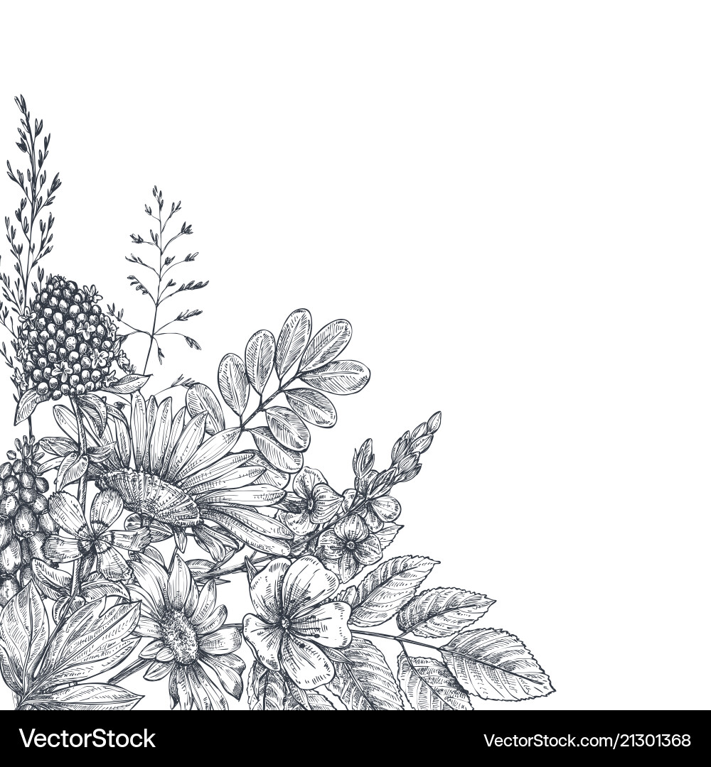 Floral backgrounds with hand drawn flowers Vector Image