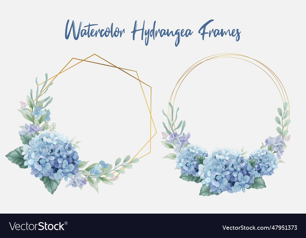 Blue hydrangea flowers frames Royalty Free Vector Image