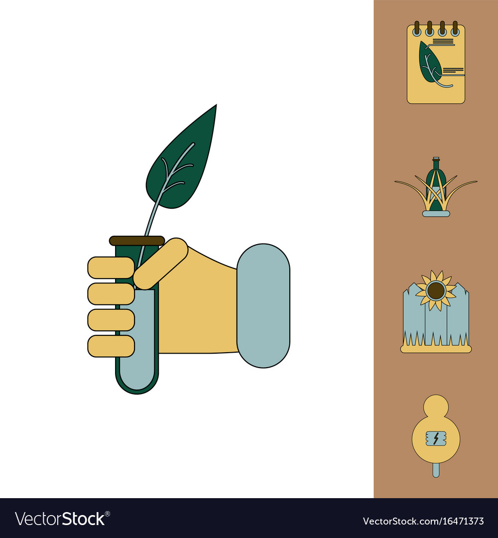 Collection of icons and nature ecosystem Vector Image