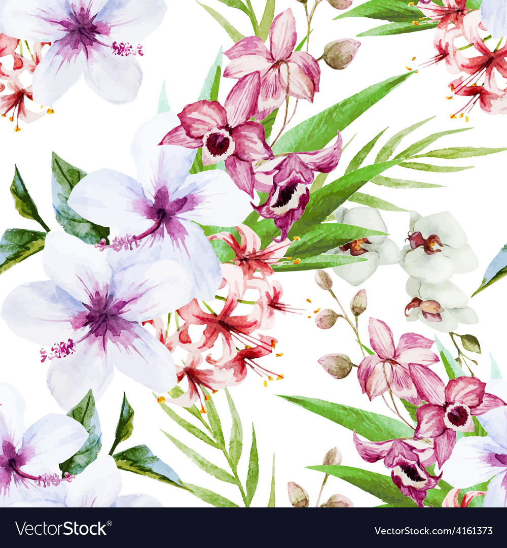 Orchid pattern Royalty Free Vector Image - VectorStock