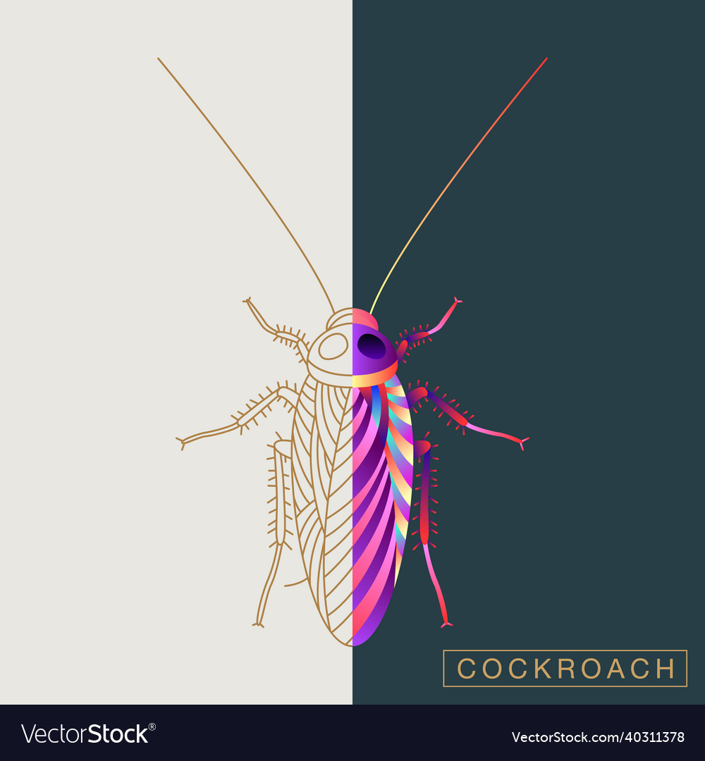 Abstract insects Royalty Free Vector Image - VectorStock