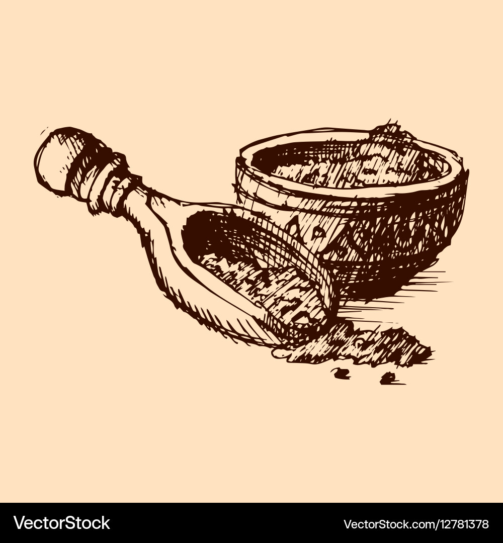 Cocoa powder with beans hand drawn sketch Vector Image