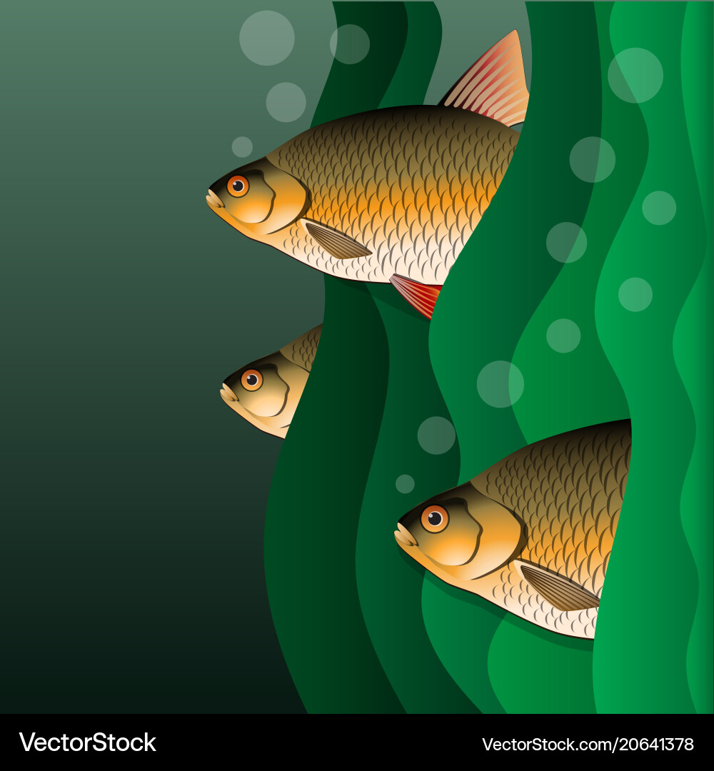 Redfins flock fish look out of algae under Vector Image