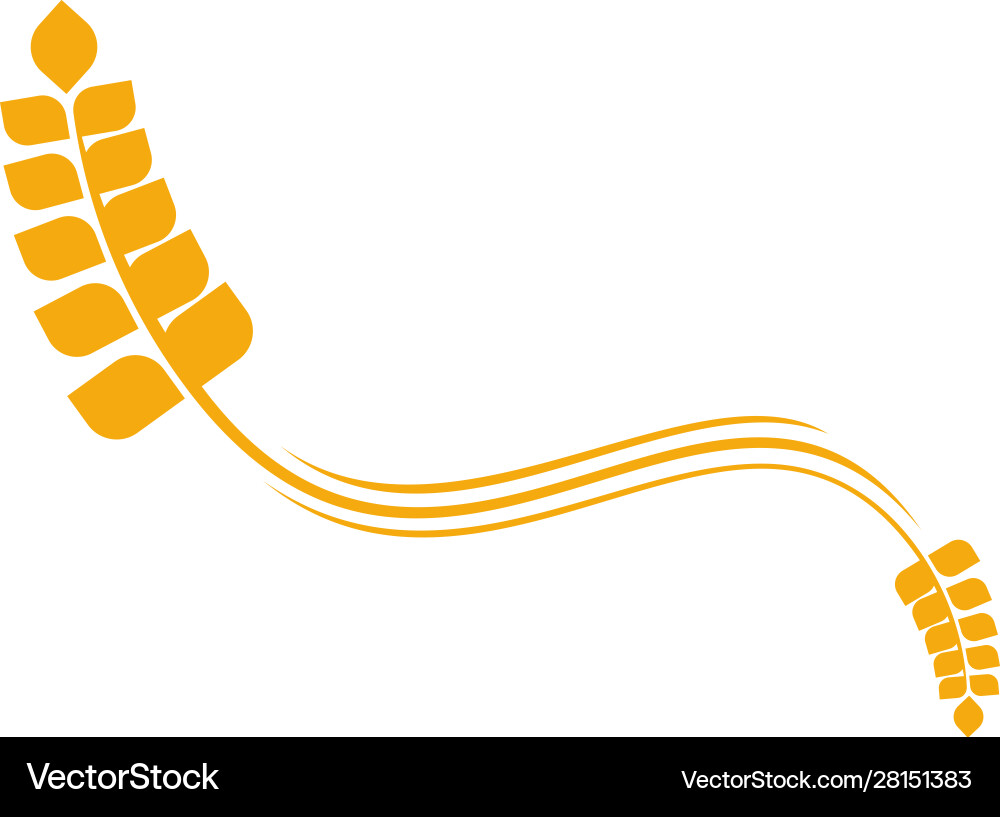 Agriculture wheat logo template luxury Royalty Free Vector