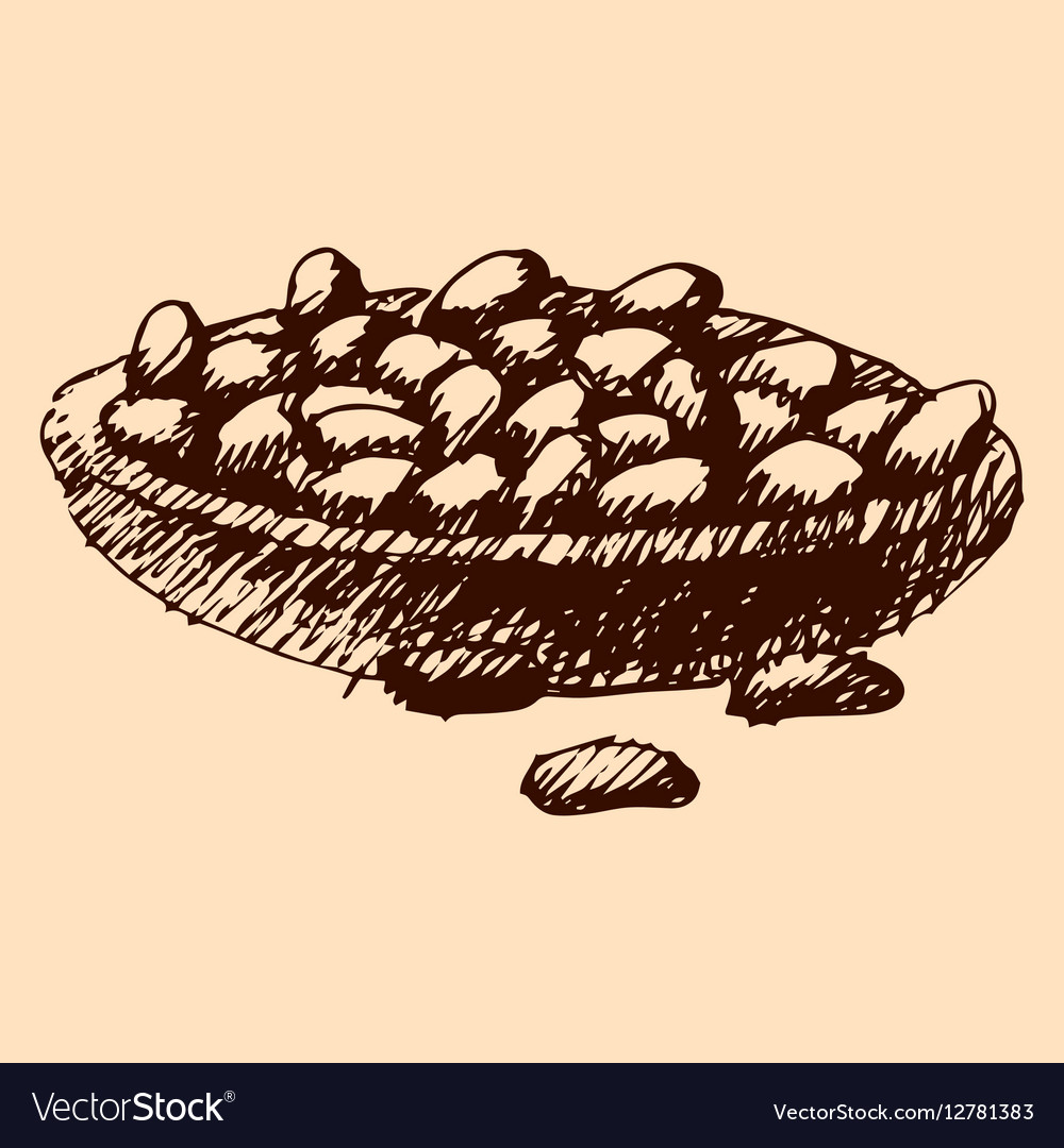 Cocoa hand drawn plate sketch Royalty Free Vector Image Cocoa hand drawn plate sketch Royalty Free Vector Image