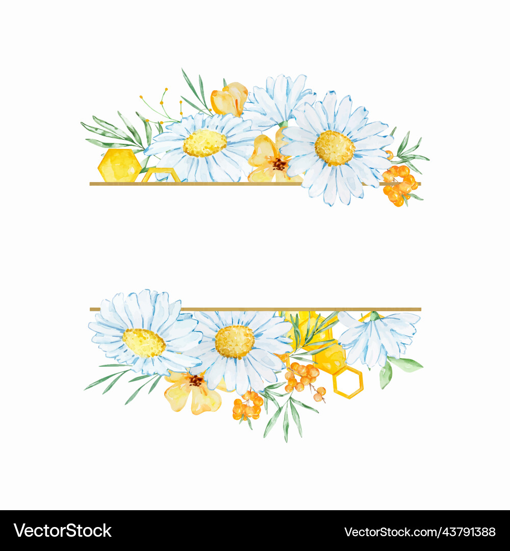 Frame banner with watercolor chamomile Royalty Free Vector