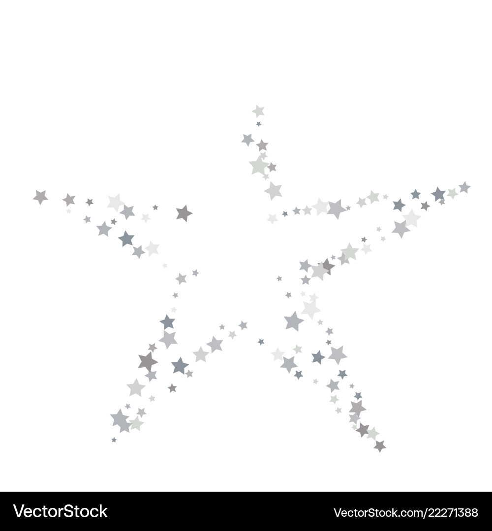 Silver star banner simple form template card vip Vector Image