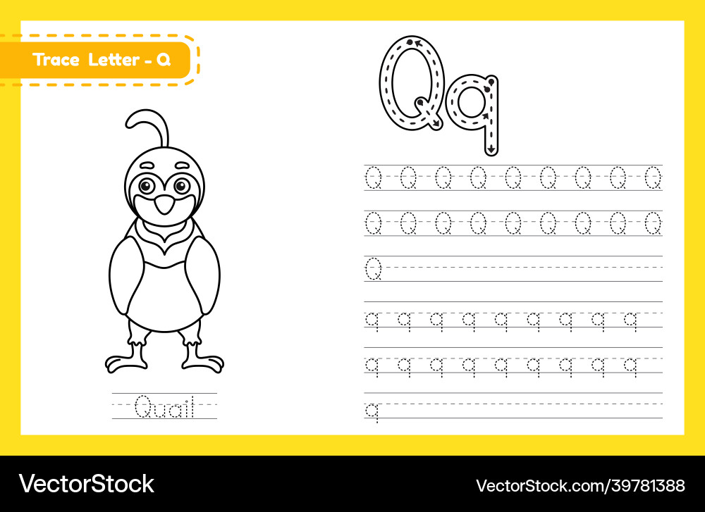 Trace letter q uppercase and lowercase alphabet Vector Image