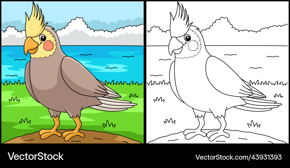 Cockatiel animal coloring page Royalty Free Vector Image