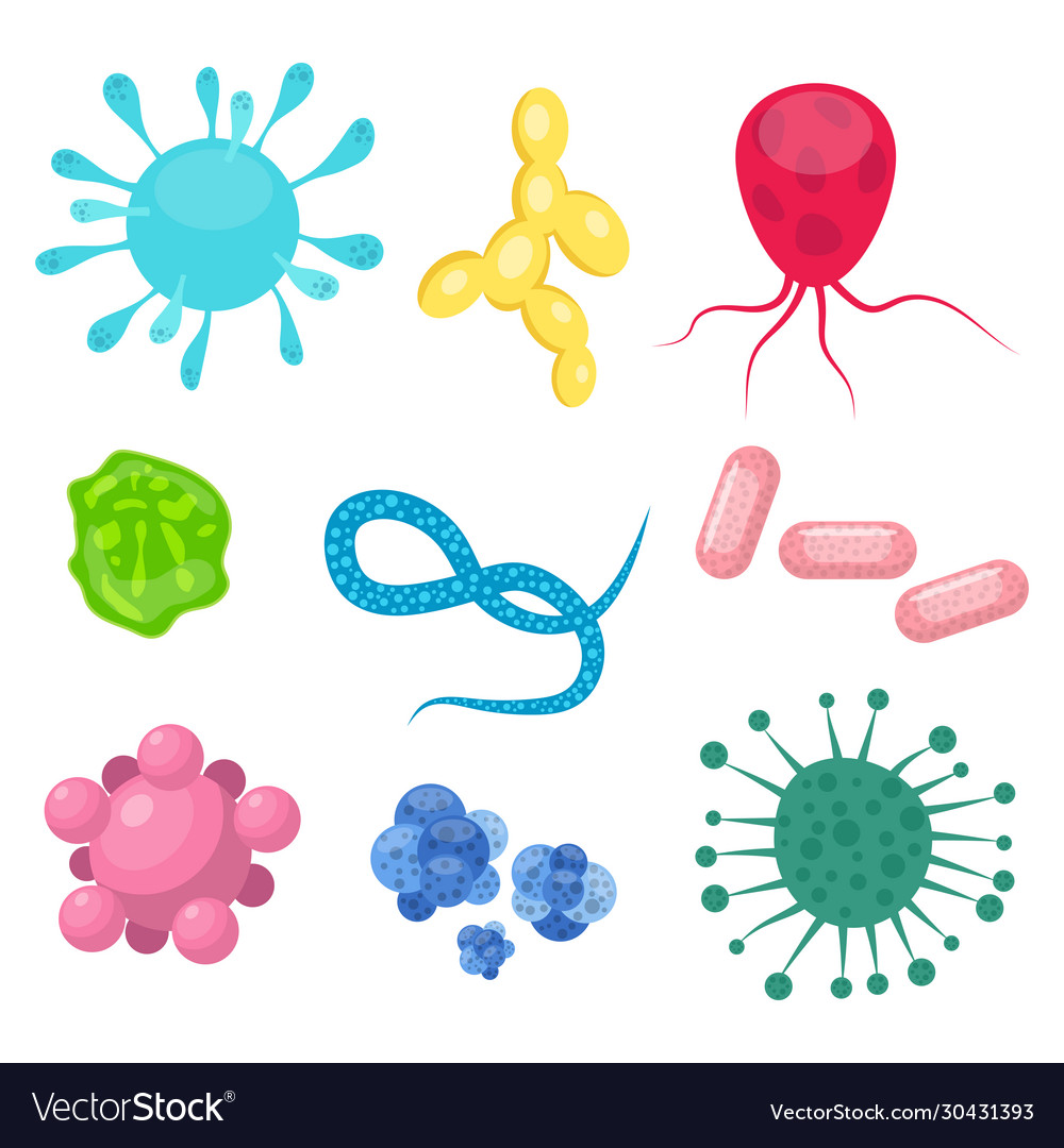 Microorganisms set Royalty Free Vector Image - VectorStock