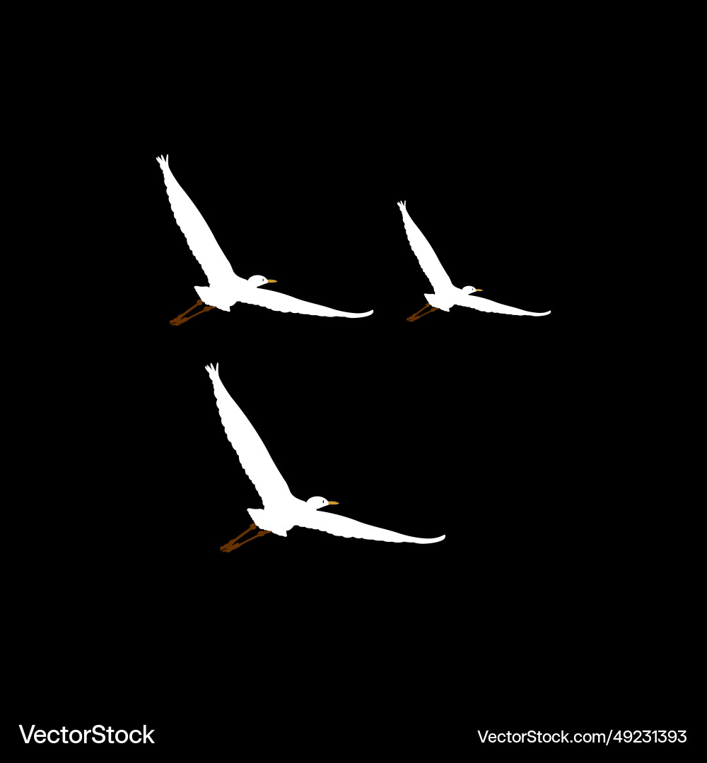 Three flying birds of seagull Royalty Free Vector Image