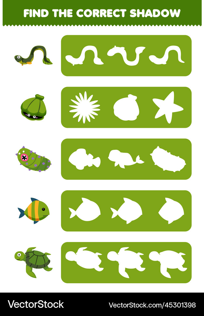 Education game for children find the correct Vector Image