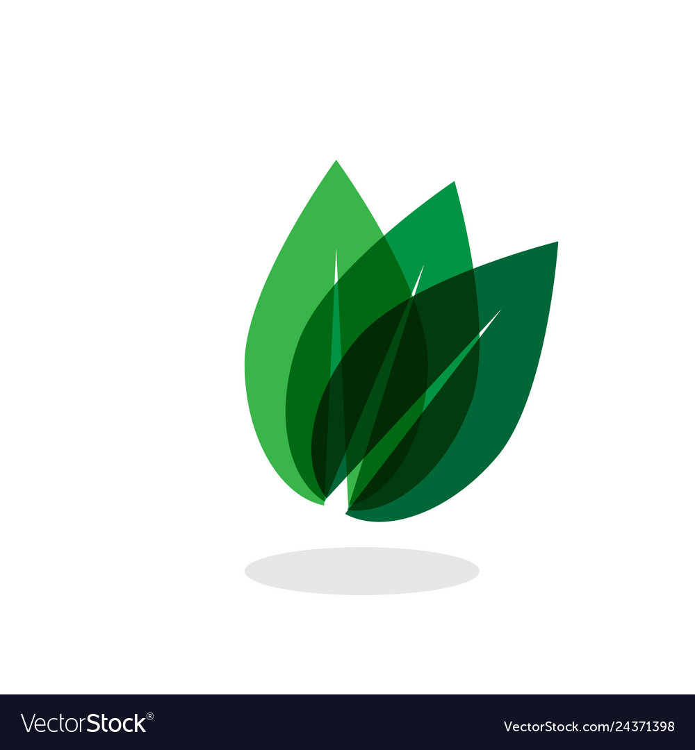 Leaf icon Royalty Free Vector Image - VectorStock