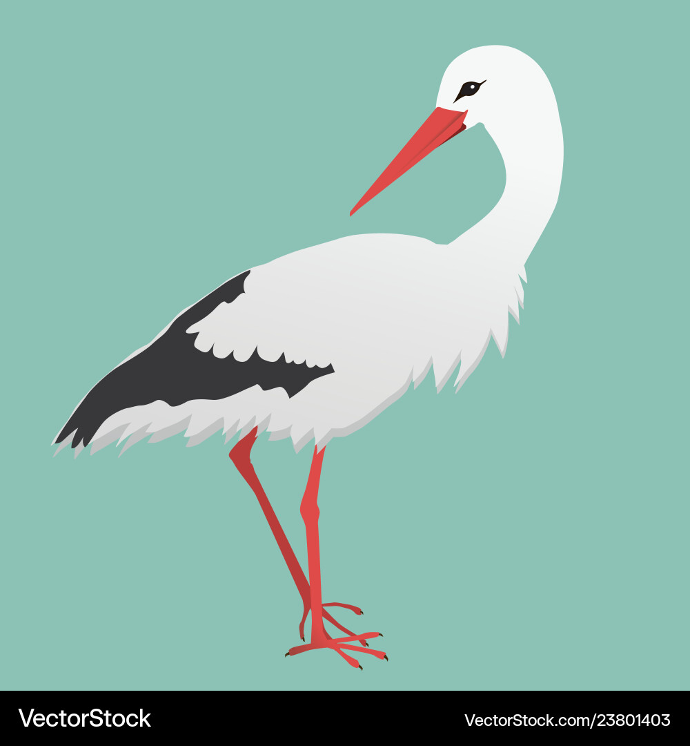 An of a stork Royalty Free Vector Image - VectorStock