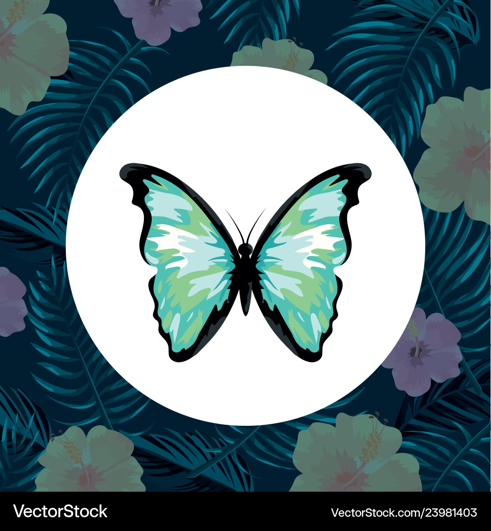 Beautiful butterfly cartoon Royalty Free Vector Image