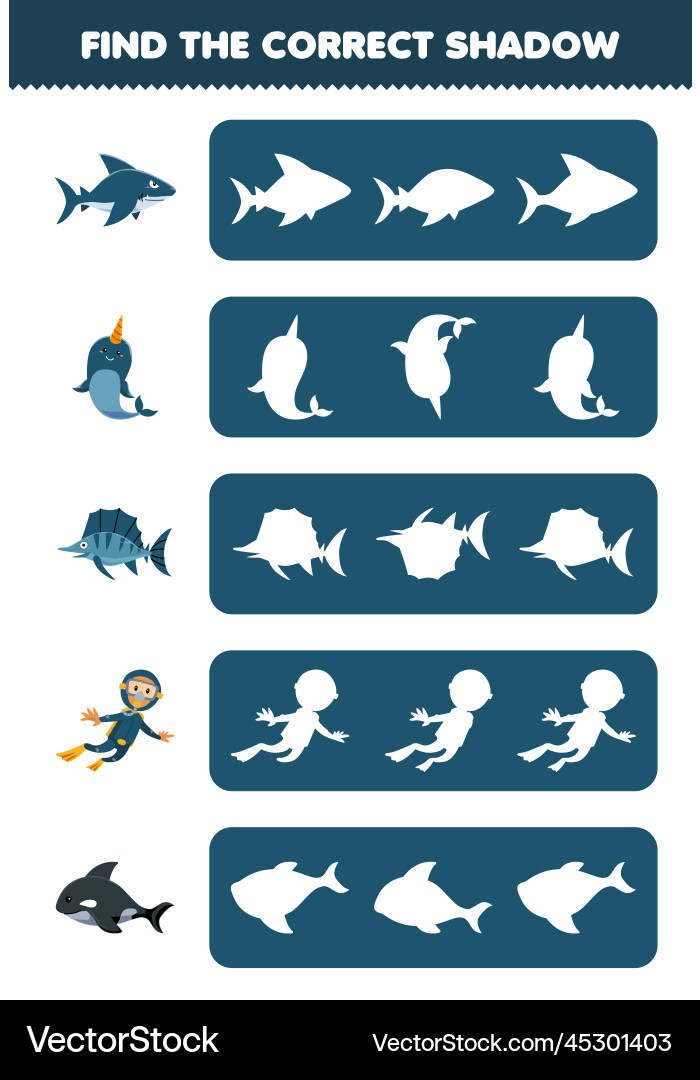 Education game for children find the correct Vector Image