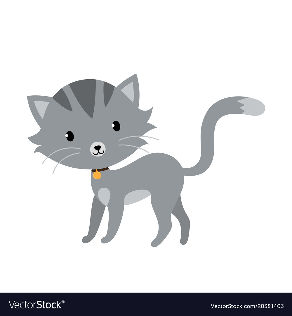 Gray cat in flat style isolated on white Vector Image
