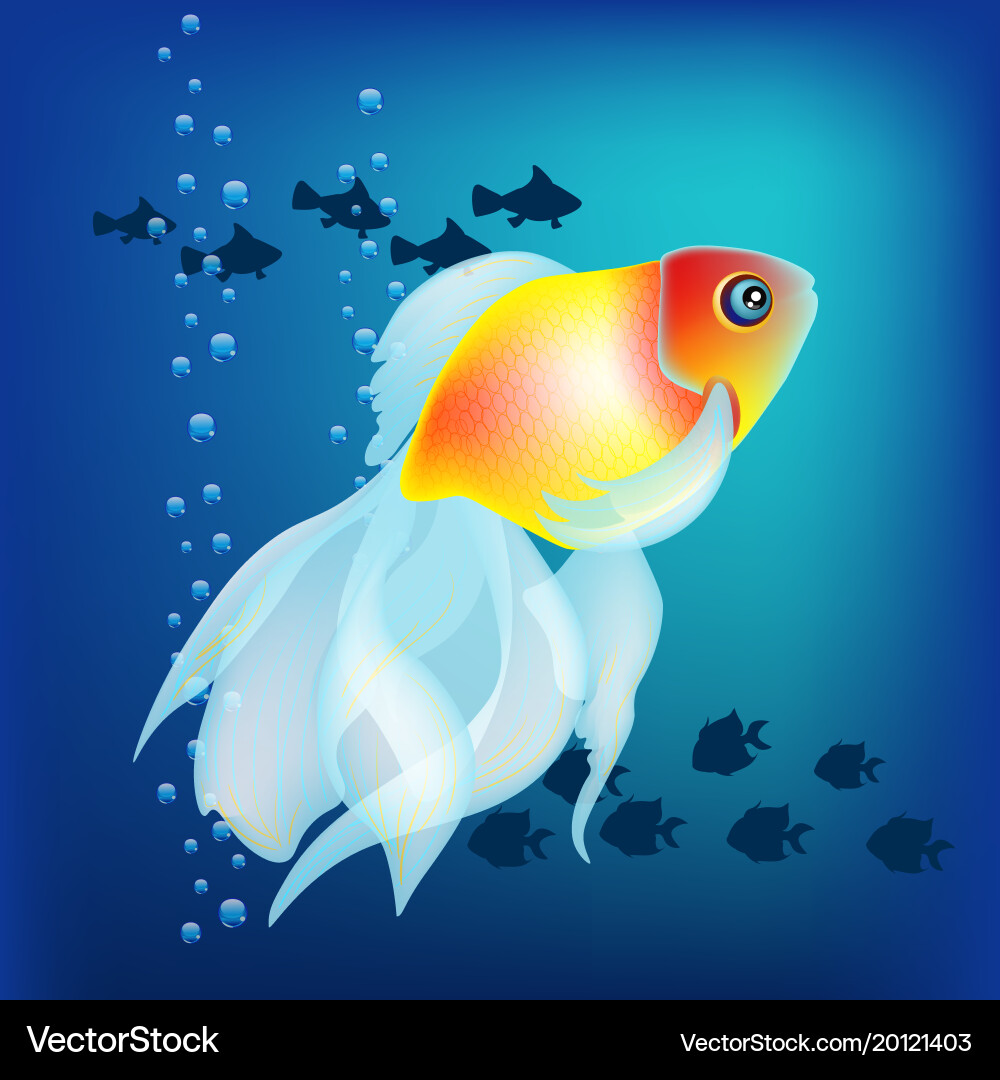 Realistic golden fish on the dark blue Royalty Free Vector