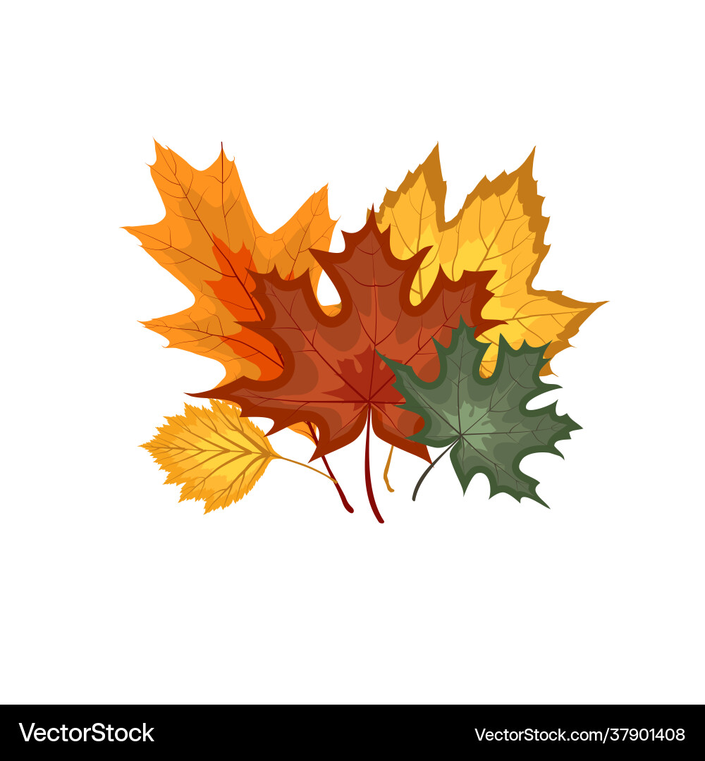 Autumn falling leaves icon isolated on white Vector Image