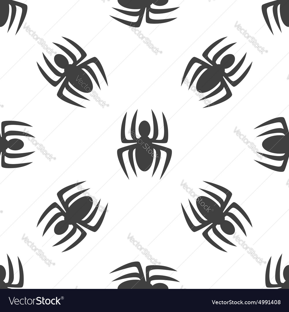 Spider pattern Royalty Free Vector Image - VectorStock