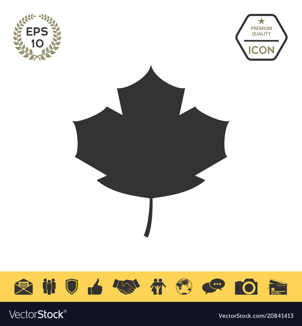 Maple leaf icon Royalty Free Vector Image - VectorStock