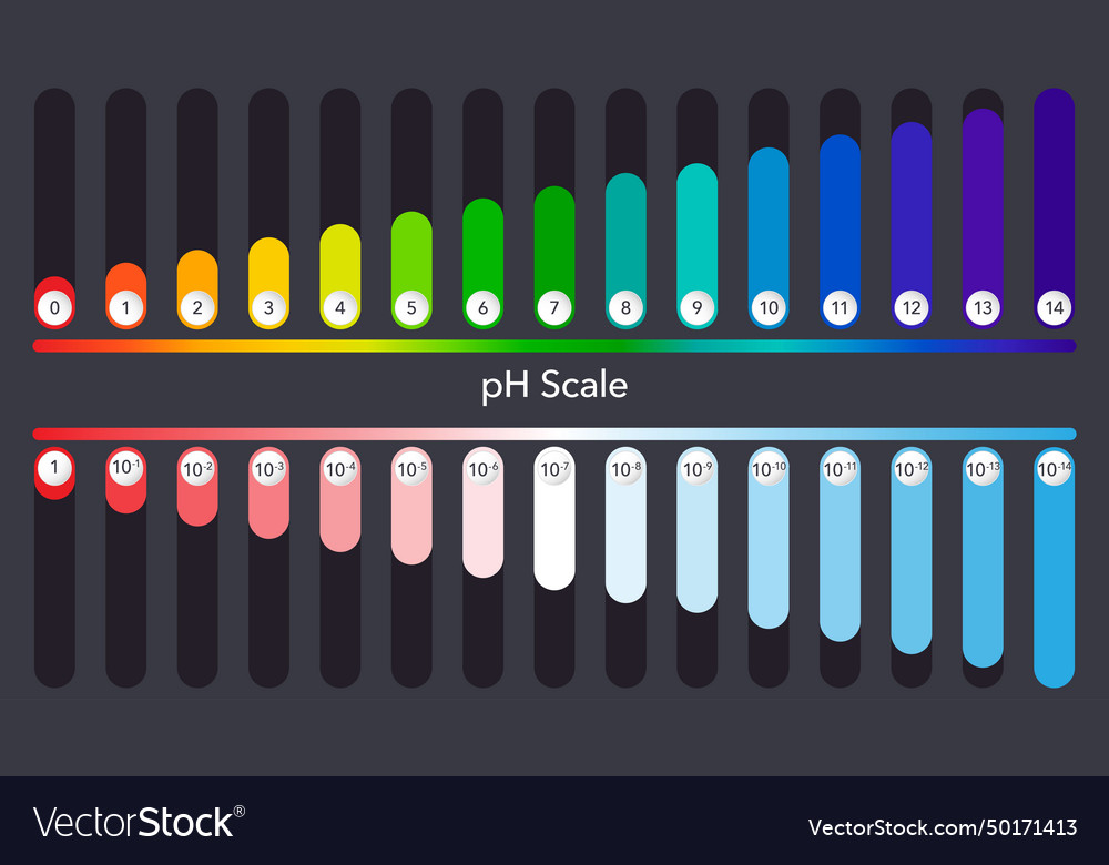 Ph scale scientific Royalty Free Vector Image - VectorStock