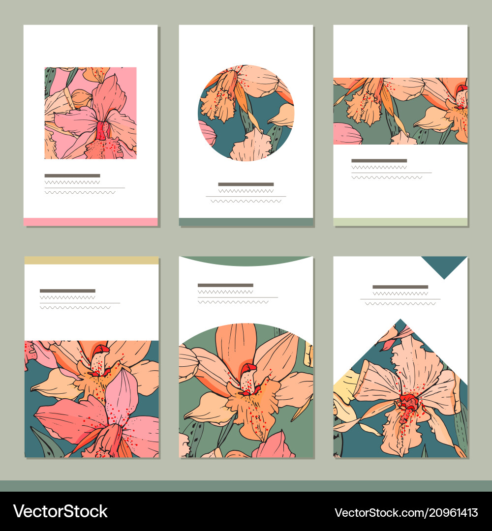 Set with six floral tropic templates Royalty Free Vector