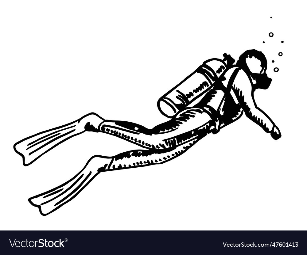 Sketch style of scuba diver Royalty Free Vector Image Sketch style of scuba diver Royalty Free Vector Image