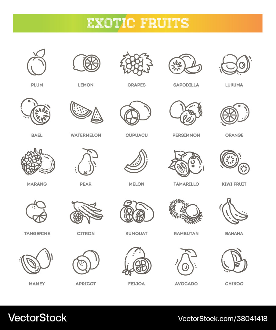 Fruits exotic vegetarian - flat icon set Vector Image