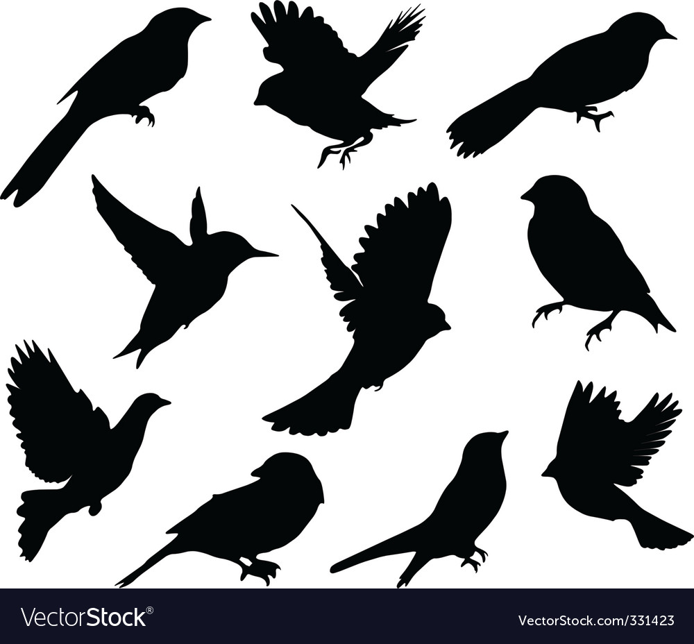 Set birds vector Royalty Free Vector Image - VectorStock