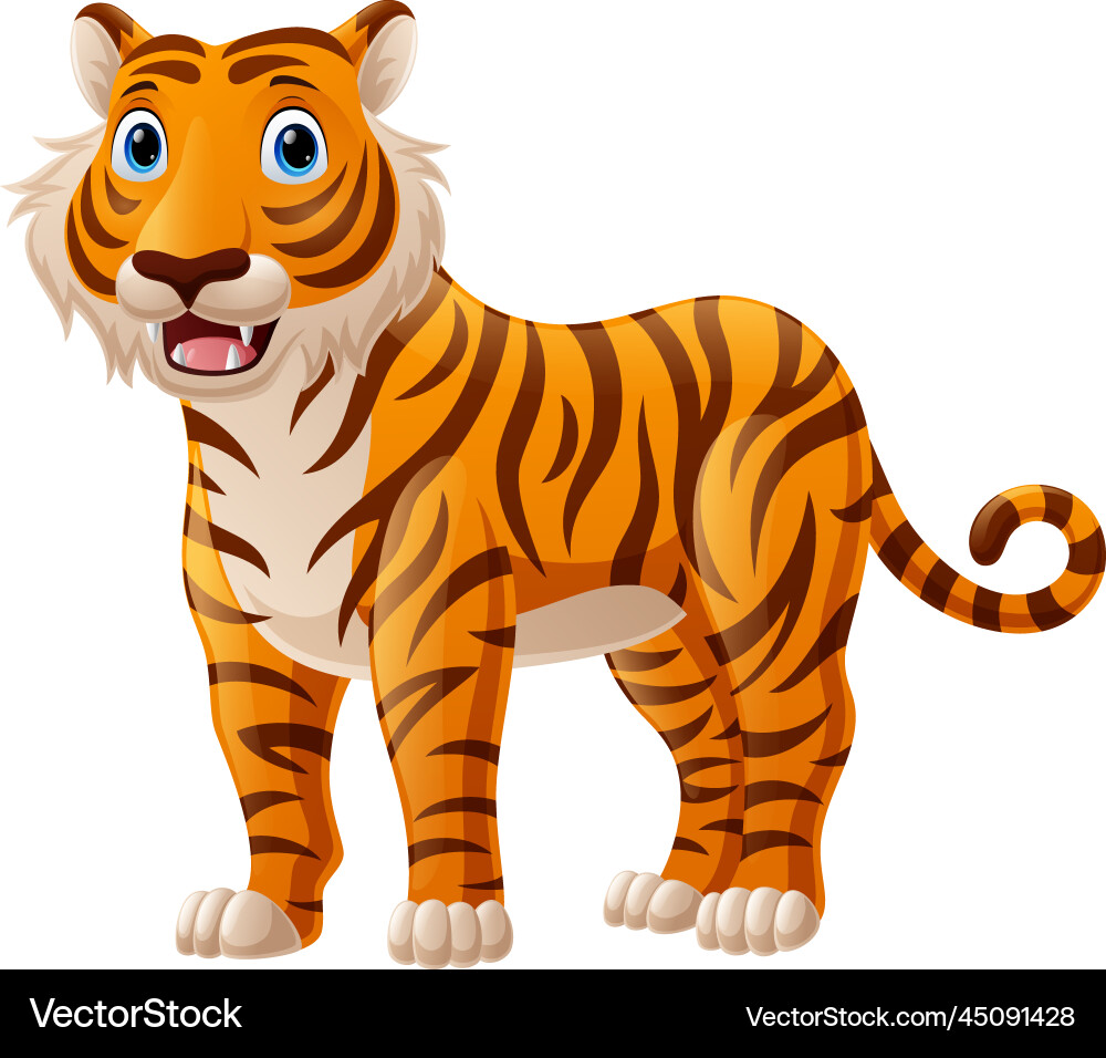 Cute tiger cartoon on white background Royalty Free Vector