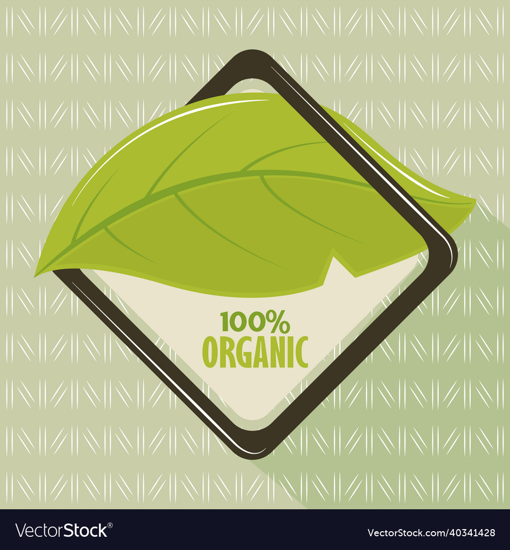 Organic Product Fresh Royalty Free Vector Image