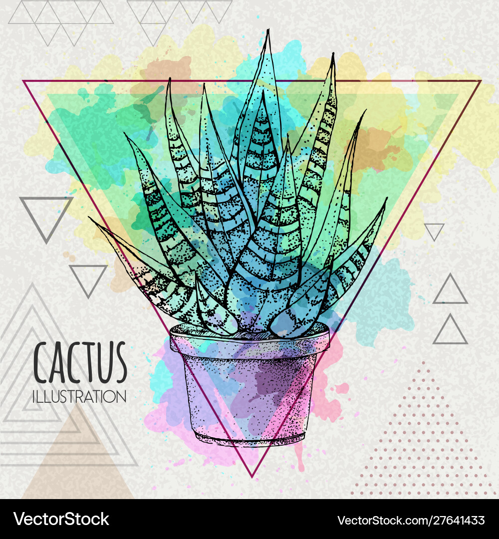 Hand drawing cactus on watercolor background Vector Image