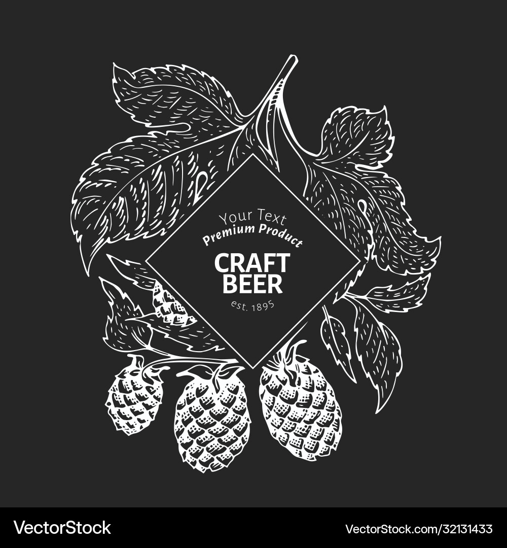Hand drawn beer design template brewery on chalk Vector Image