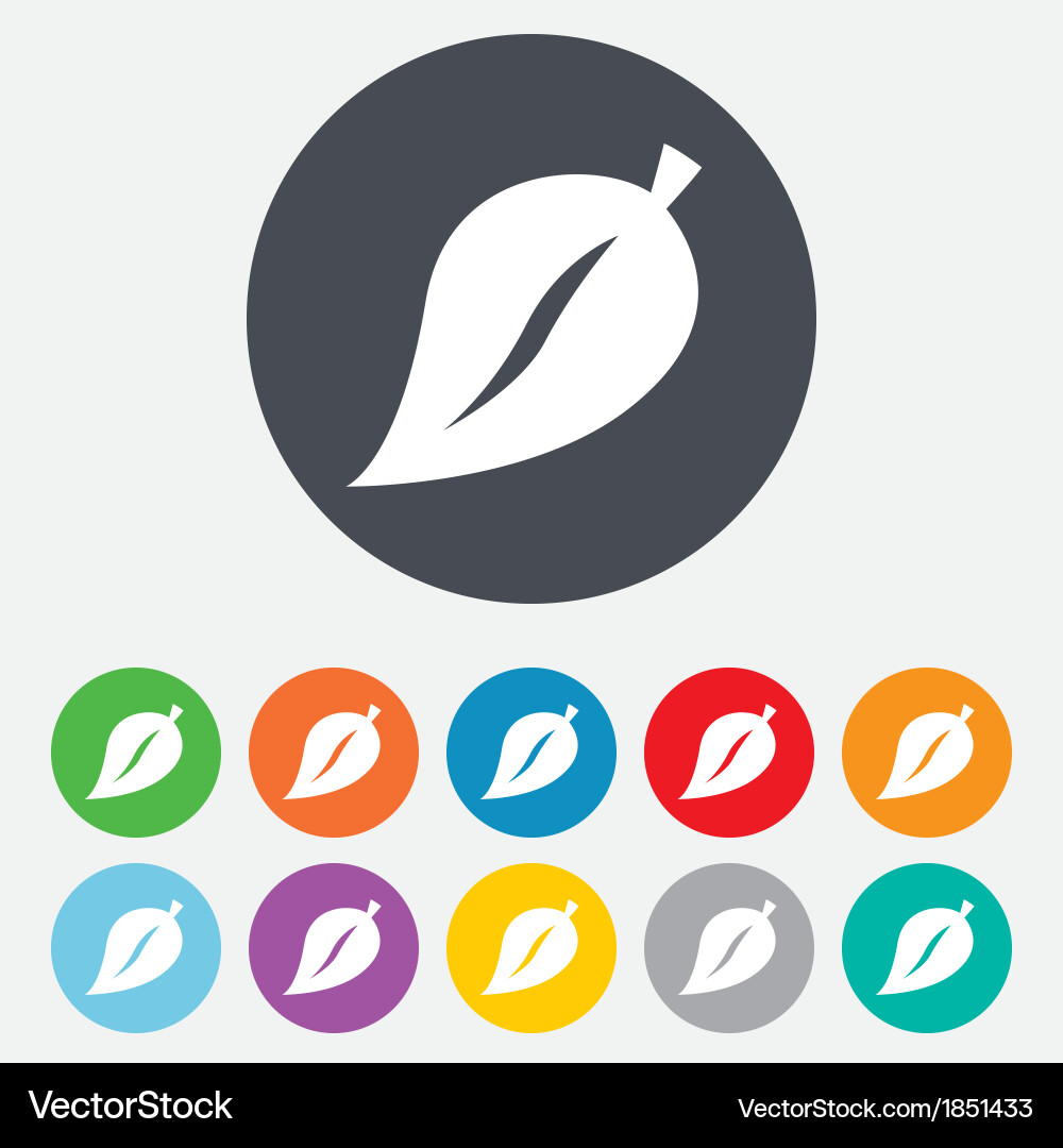 Leaf sign icon fresh product symbol Royalty Free Vector