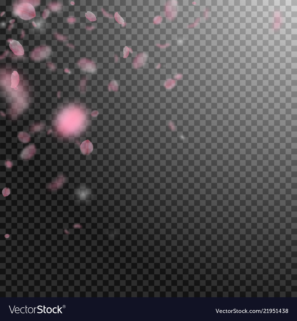 Sakura petals falling down Royalty Free Vector Image