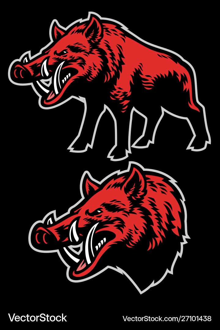 Wild Boar Mascot Set Royalty Free Vector Image